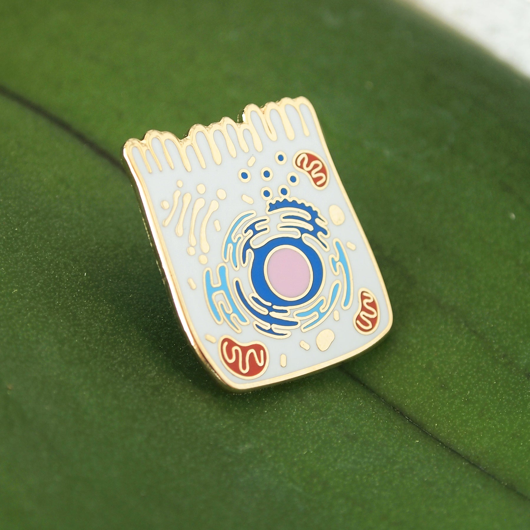 Intestinal Epithelial Cell Pin – Shoal