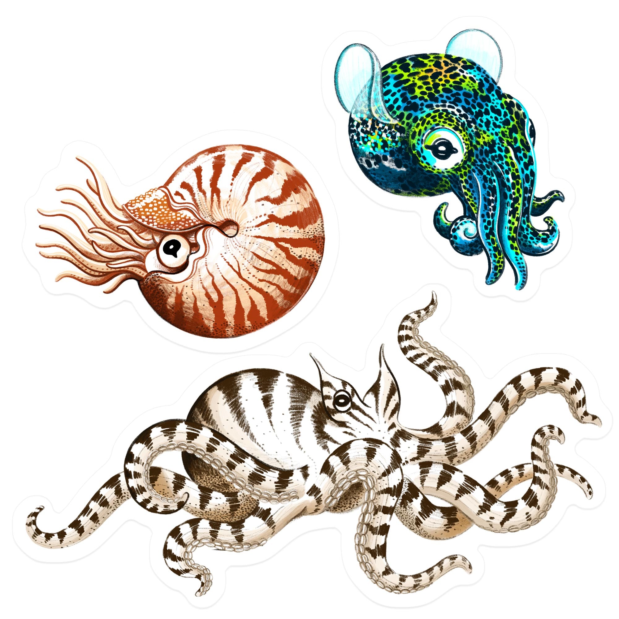 Cephalopod Sticker Pack – Shoal